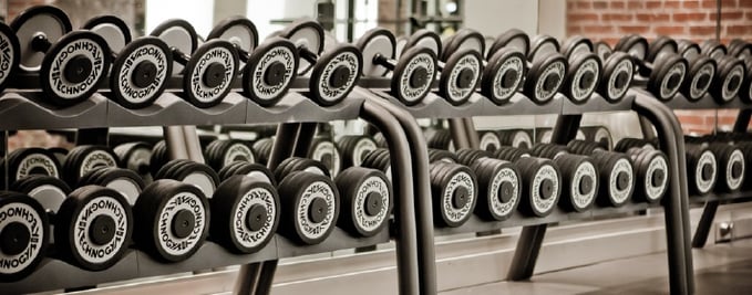 The Best Weight Plate Storage Ideas for Your Fitness Facility - Ardent ...