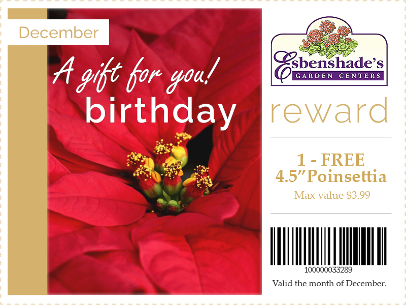 Birthday Coupon - December