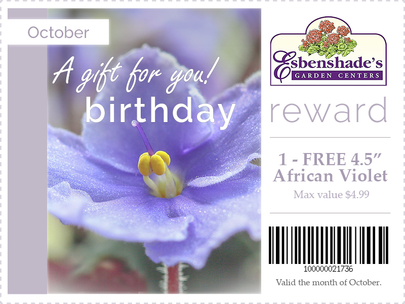 Birthday Coupon - October