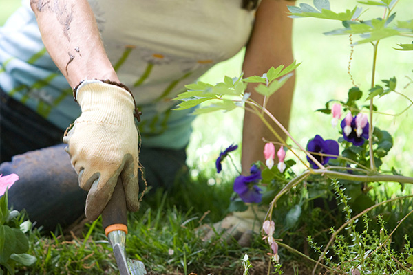 7 Spring Gardening Tasks