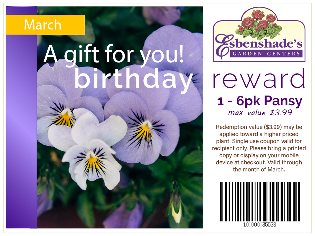 Birthday Coupon - March