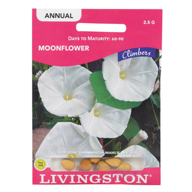Livingston Seed Moonflower Seeds Packet - Esbenshades