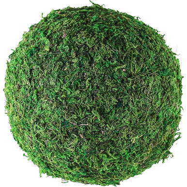 Bella Moss Moss Sphere Decorative Indoor Accent, Green, 6" - Esbenshades