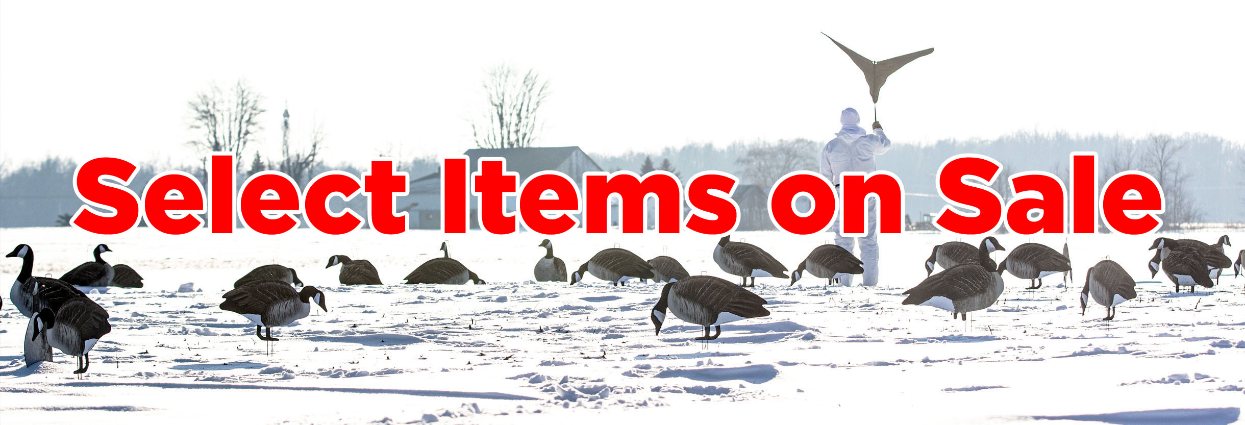Big Al's Decoys Store