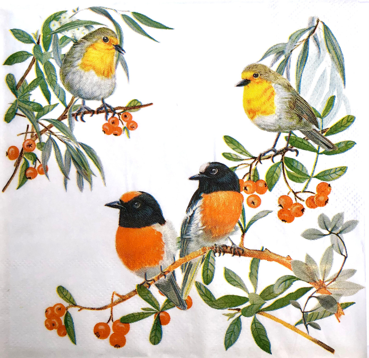 Australian Robins Napkins
