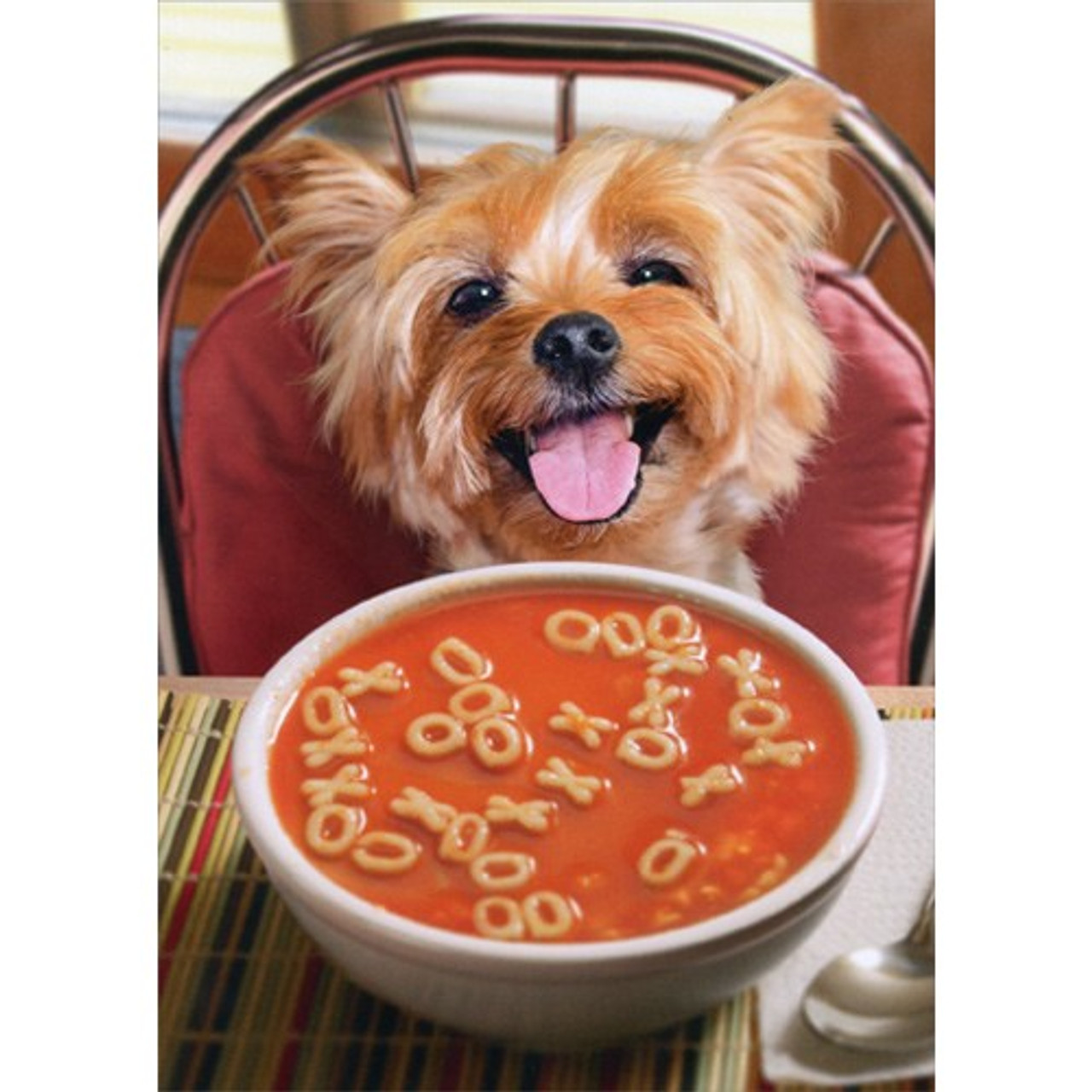 Chicken Soup Funny Humorous Tom Cheney Get Well Card