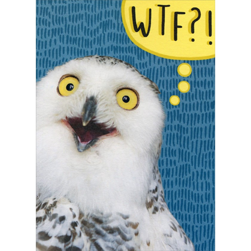 WTF Shocked Owl Funny / Humorous Birthday Card | PaperCards.com