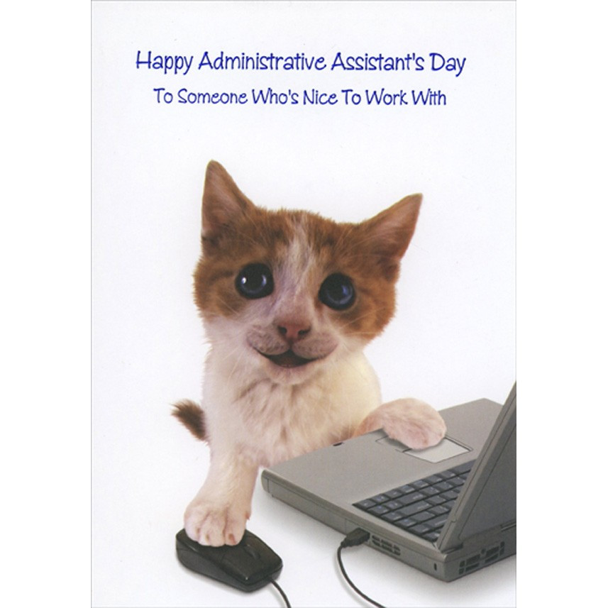 Kitten with Laptop Cute Cat Administrative Assistant's Day Card for Co ...