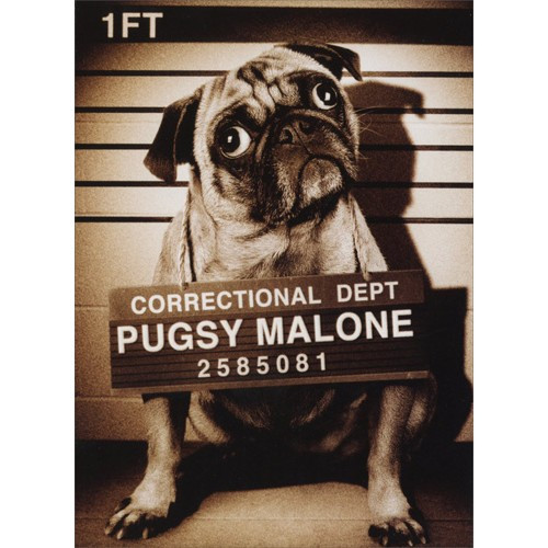 Pugsy Malone Funny / Humorous Dog Birthday Card | PaperCards.com