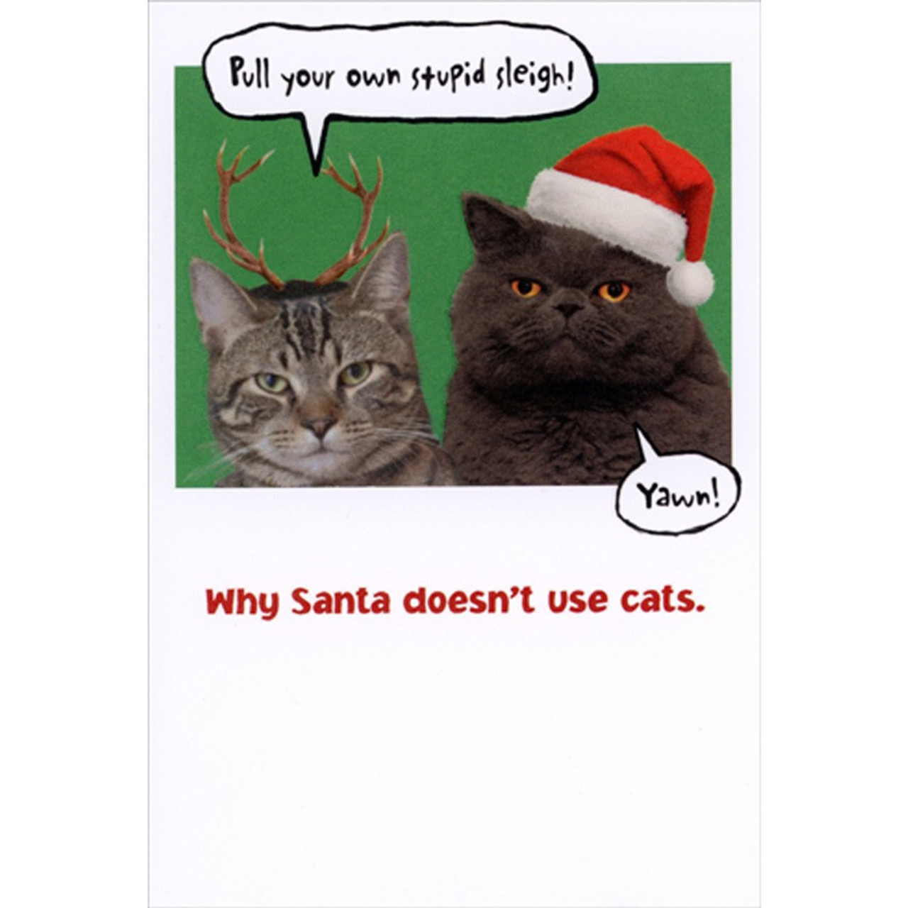 Why Santa Doesnt Use Cats Funny Humorous Christmas Card