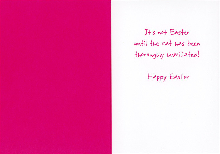 Angry Cat in Bunny Ears Funny : Humorous Easter Card | PaperCards.com