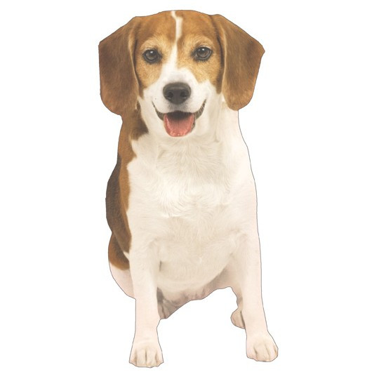 Beagle Die Cut Gift Card Holder Note Card | PaperCards.com