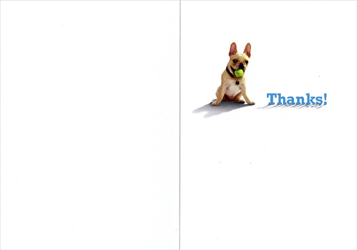 Frenchie Finds Ball Funny Dog Thank You Card | PaperCards.com
