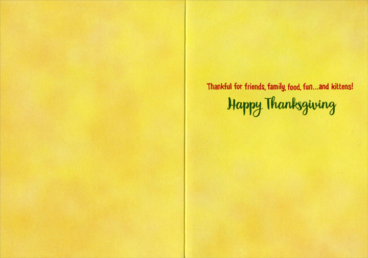 Kittens In Pilgrim Hat Cat Thanksgiving Card | PaperCards.com