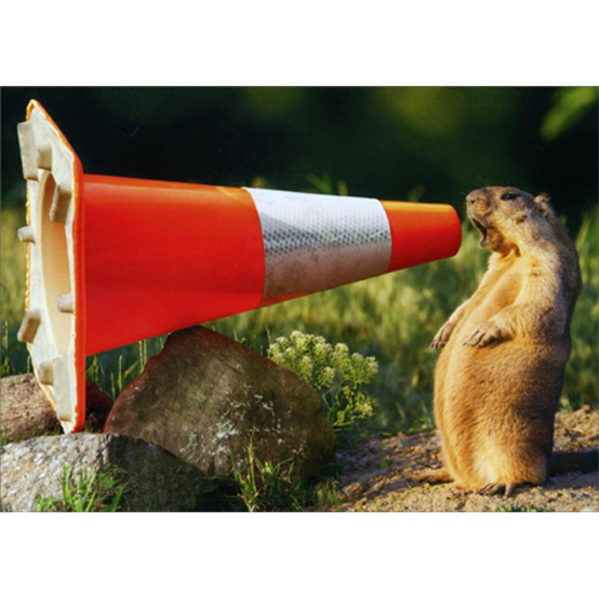 Prairie Dog Yelling Into Construction Cone Funny / Humorous ...
