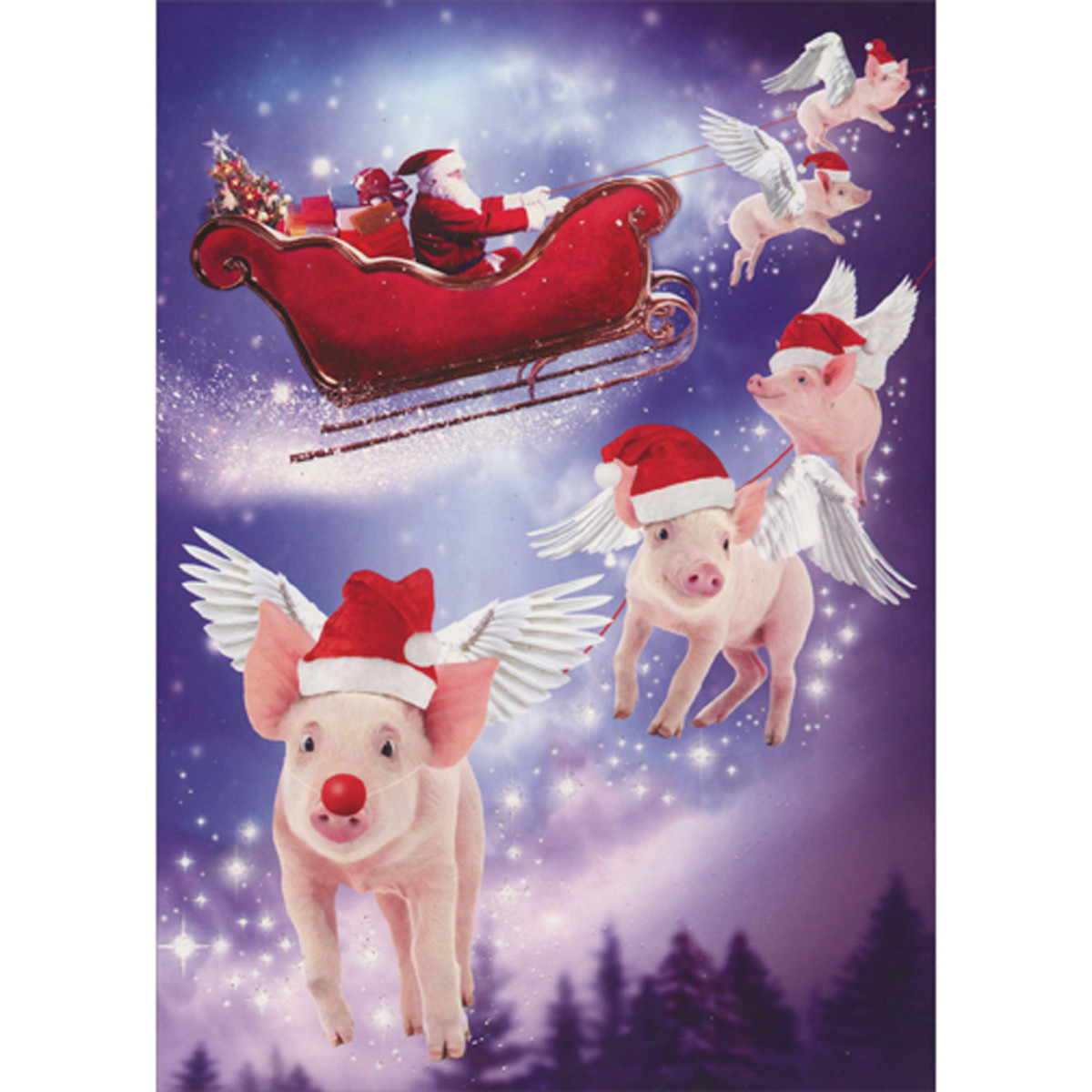 Flying Pigs with White Wings Pulling Santa's Sleigh Humorous / Funny ...