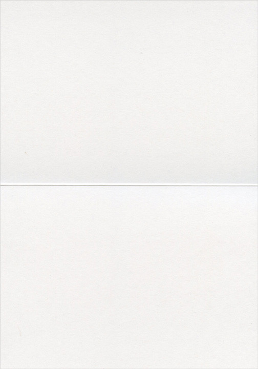 Line Up Of Five Kittens on Pink Cute Cat Blank Note Card | PaperCards.com