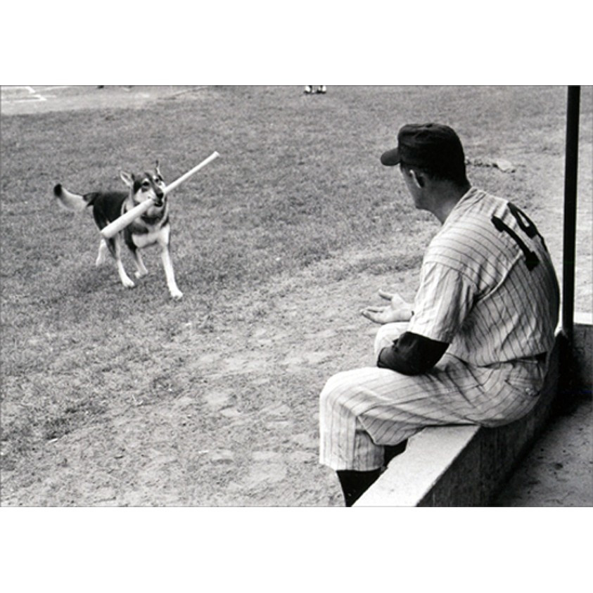 German Shepherd Baseball Mascot America Collection Blank Note Card ...