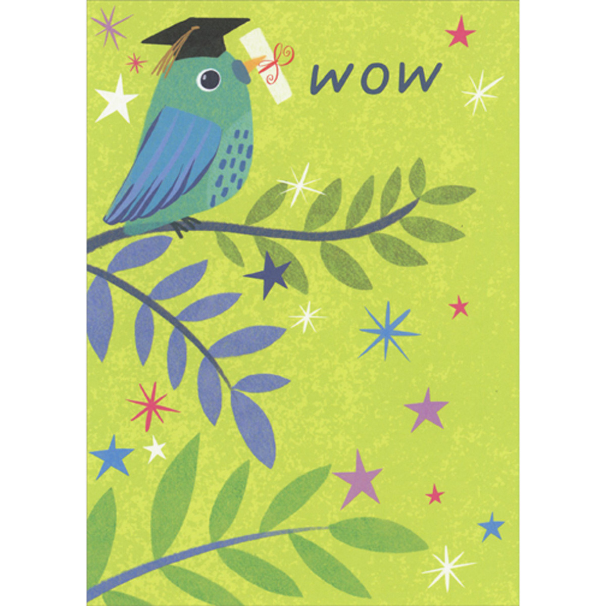 Blue Bird Sitting on Branch Holding Diploma in Beak Tri Fold Graduation ...