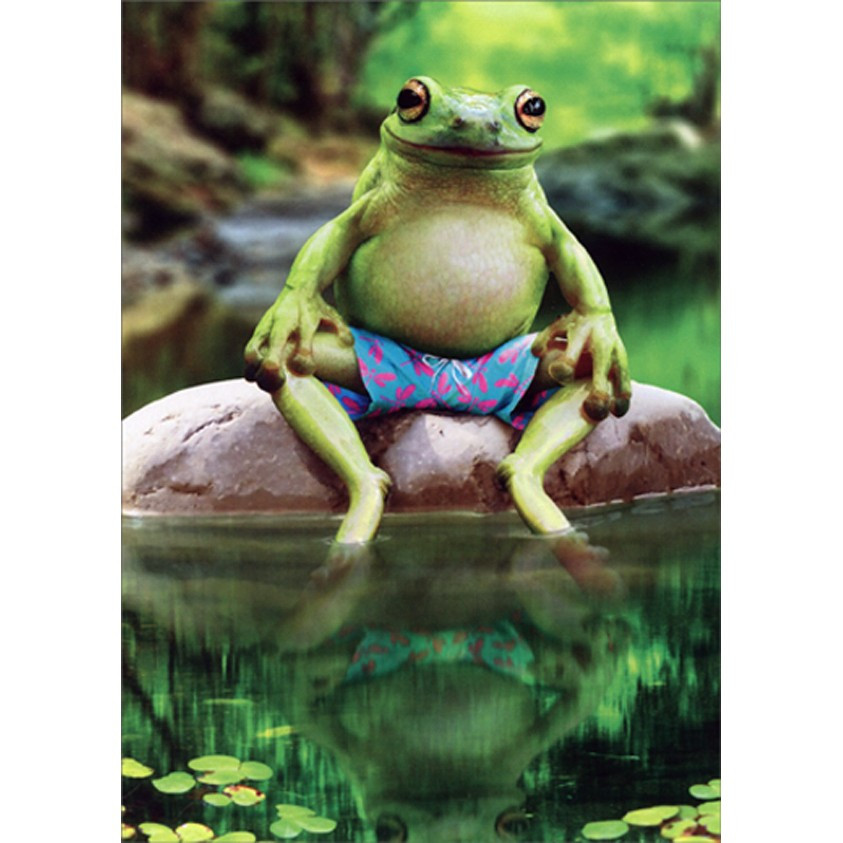 Lounging Frog in Blue Swim Trunks at Pond Funny / Humorous Father's Day ...