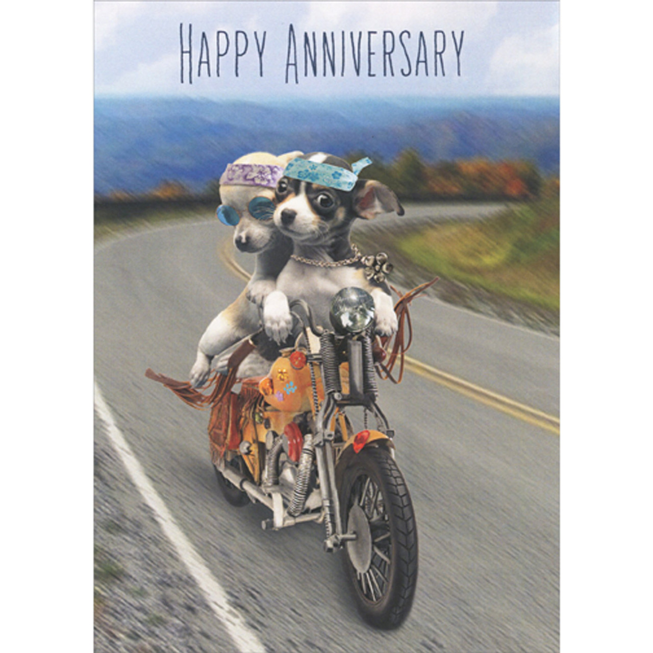 Hippie Chihuahua Couple Riding Motorcycle on Highway Anniversary Card ...