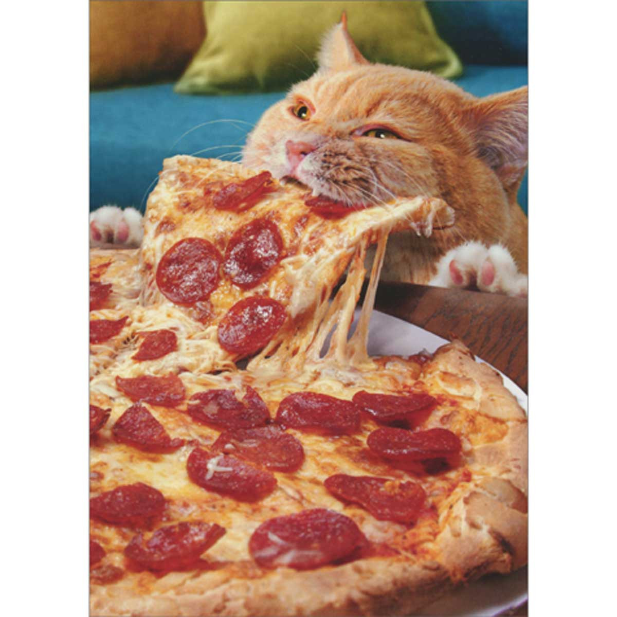 super pizza cat