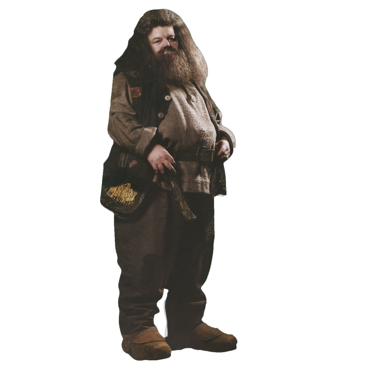 Rubeus Hagrid Harry Potter Die Cut Blank Note Card | PaperCards.com