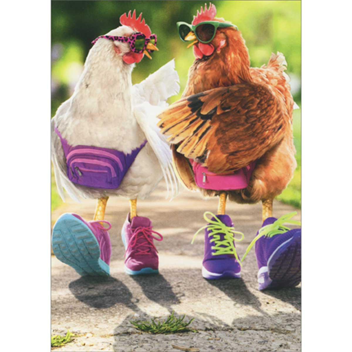 Chickens with Fanny Packs Power Walking in Colorful Sneakers Funny ...