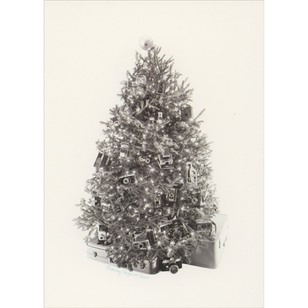 Evergreen Tree Decorated with Cameras Christmas Card | PaperCards.com
