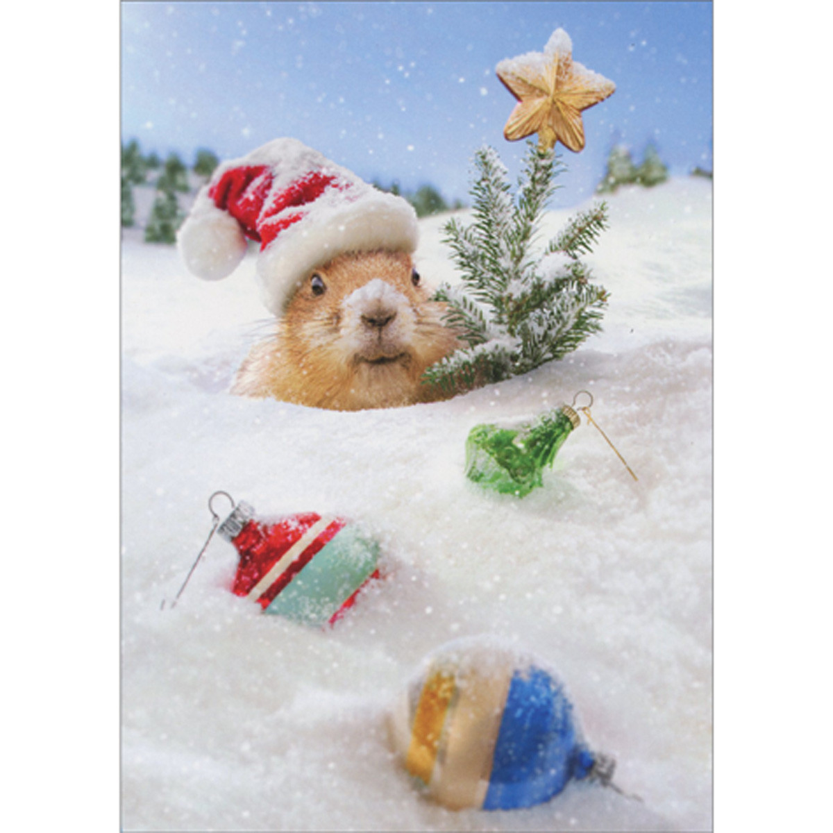 Groundhog with Tree Peeking Out from Pile of Snow Pack of 10 Funny ...
