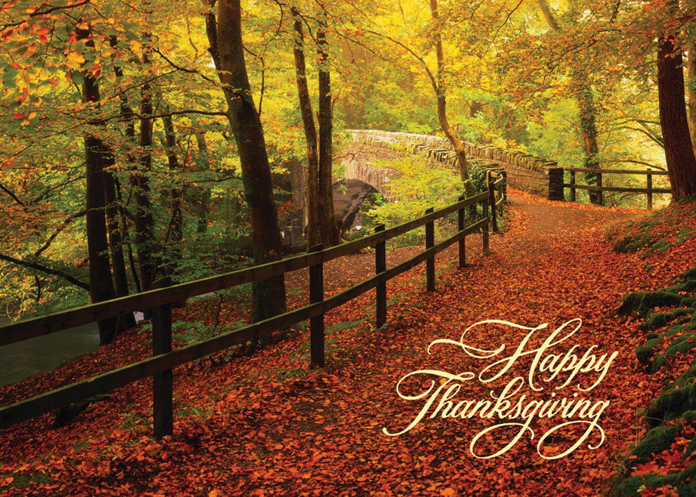 Leaf Strewn Path and Bridge Inside Wooded Park Box of 25 Custom Verse ...