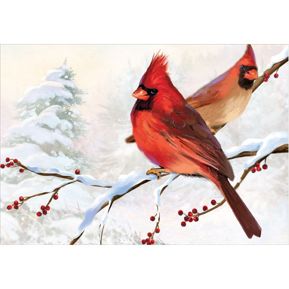 Two Cardinals Box of 18 Christmas Cards | PaperCards.com