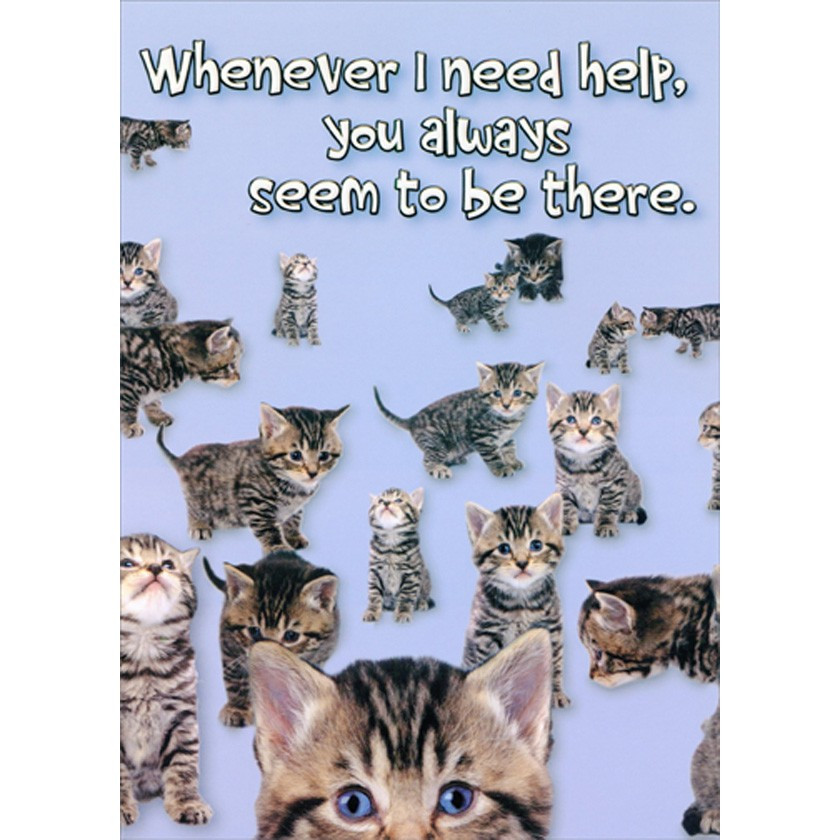 Whenever I Need Help Lots of Kittens Thank You Card | PaperCards.com