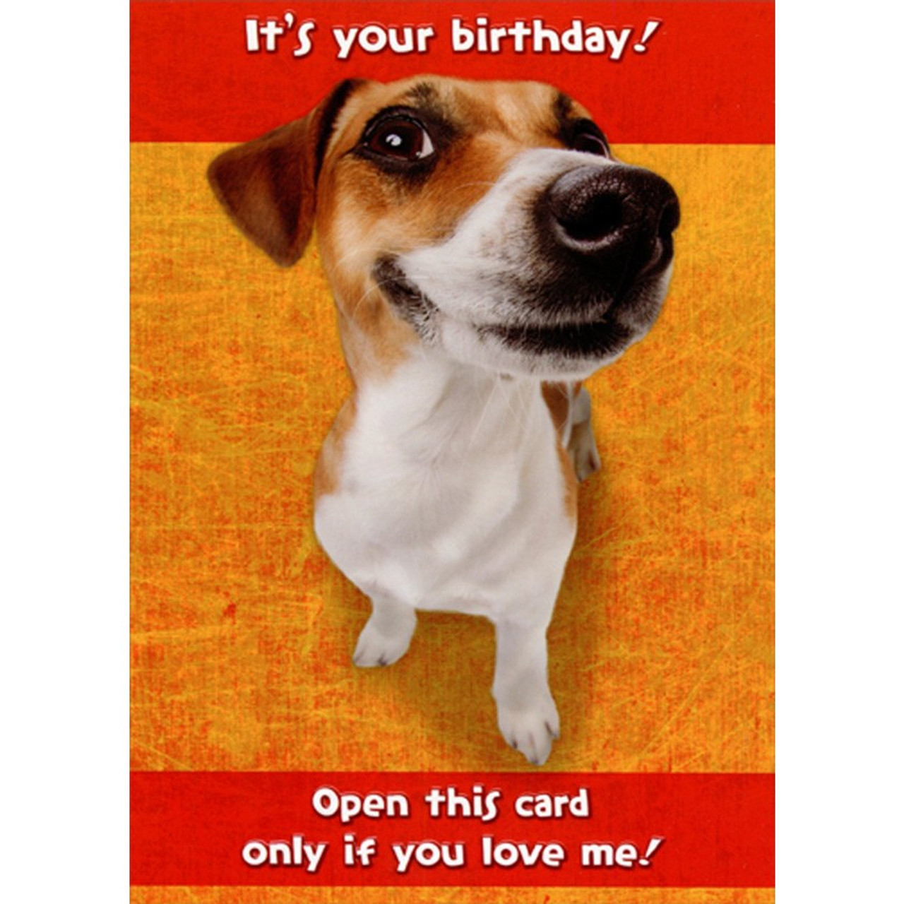 Dog I Love You Meme Lupon gov ph dog-i-love-you-meme-lupon-gov-ph