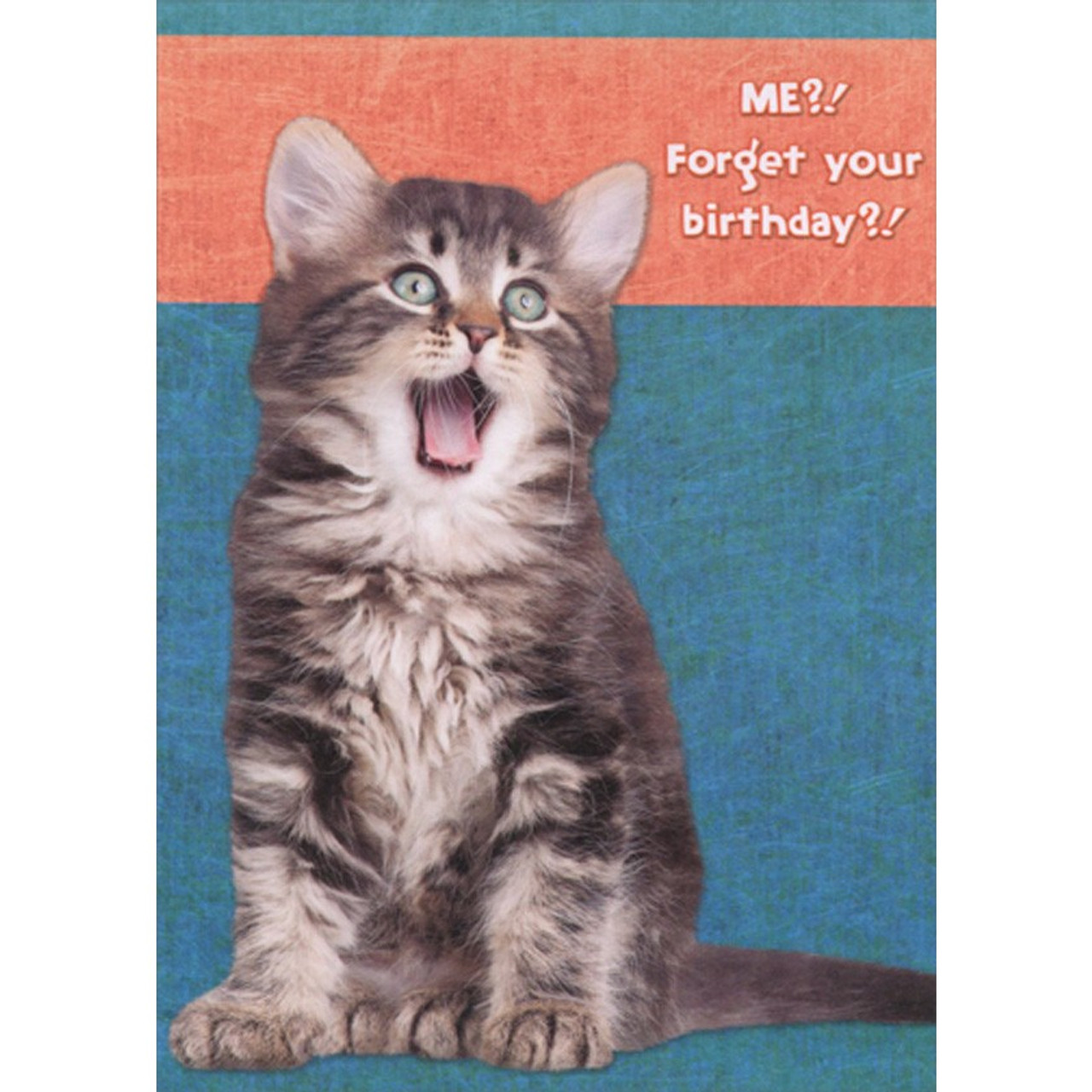Shocked Kitten With Open Mouth Funny Humorous Cat Birthday Card