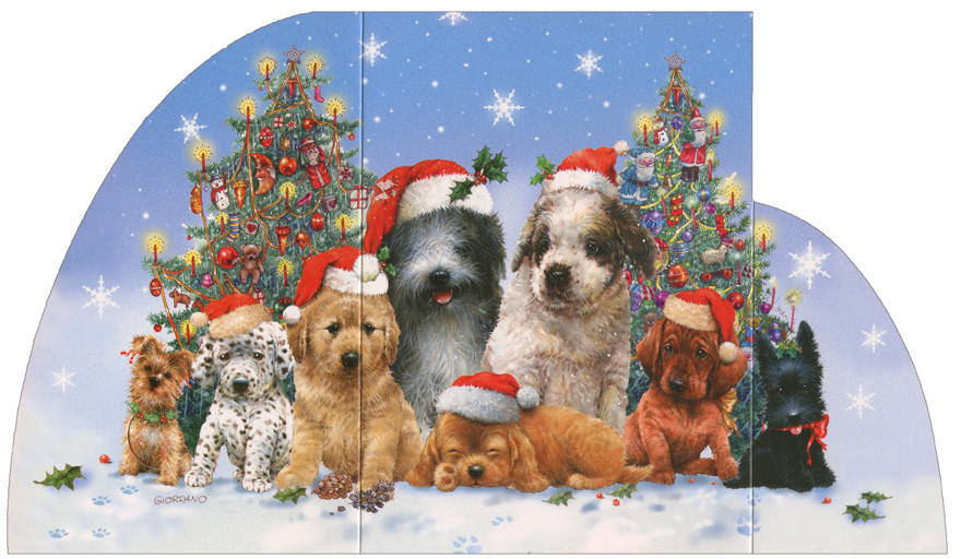 Ready for Christmas Puppies : Giordano Box of 12 Tri-Fold Panorama Dog ...