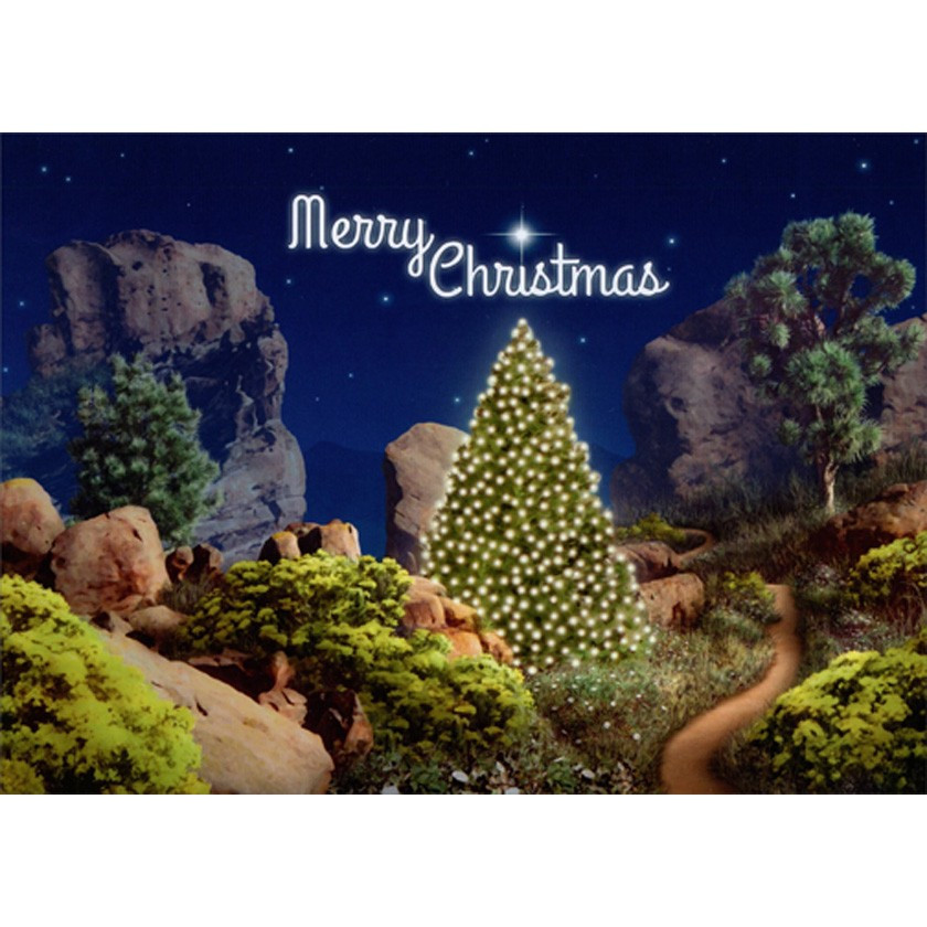 Evergreen with Lights in Desert Warm Weather Christmas Card ...