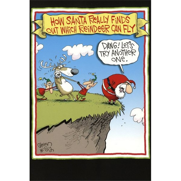 Reindeer Can Fly Box of 12 Funny / Humorous Christmas Cards ...