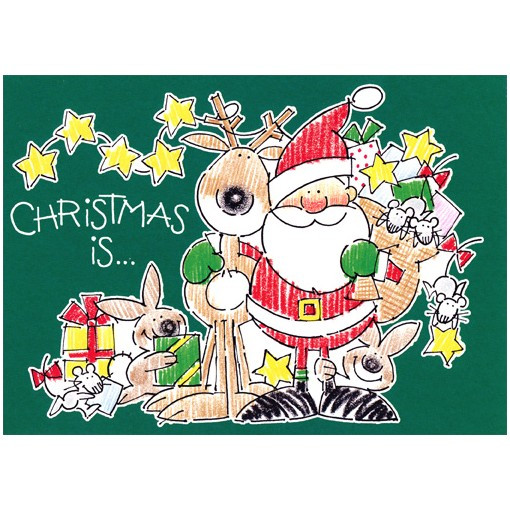 Santa, Reindeer & Animals Posing Christmas Card | PaperCards.com