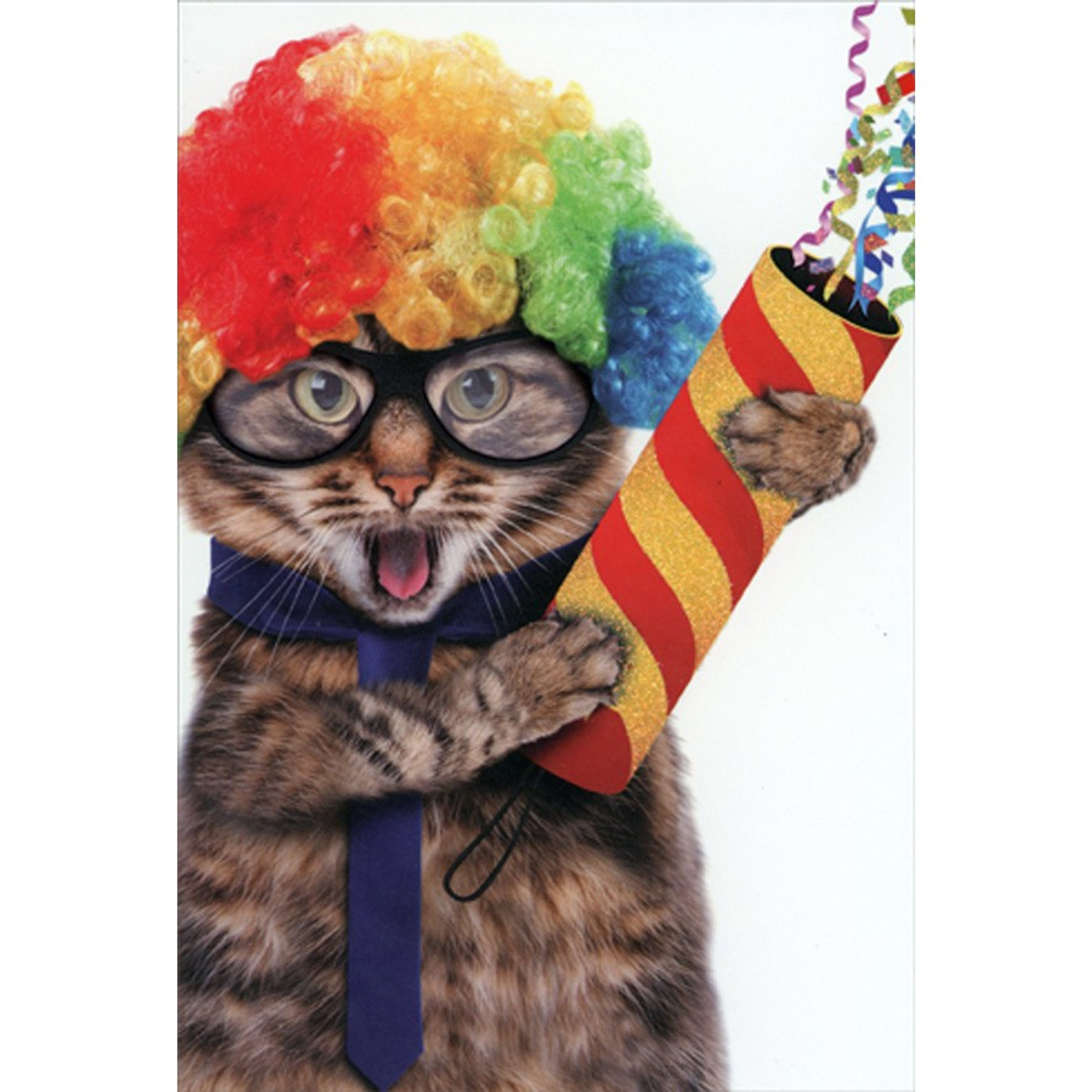 Cat With Rainbow Wig Confetti Popper Humorous Funny Birthday Card