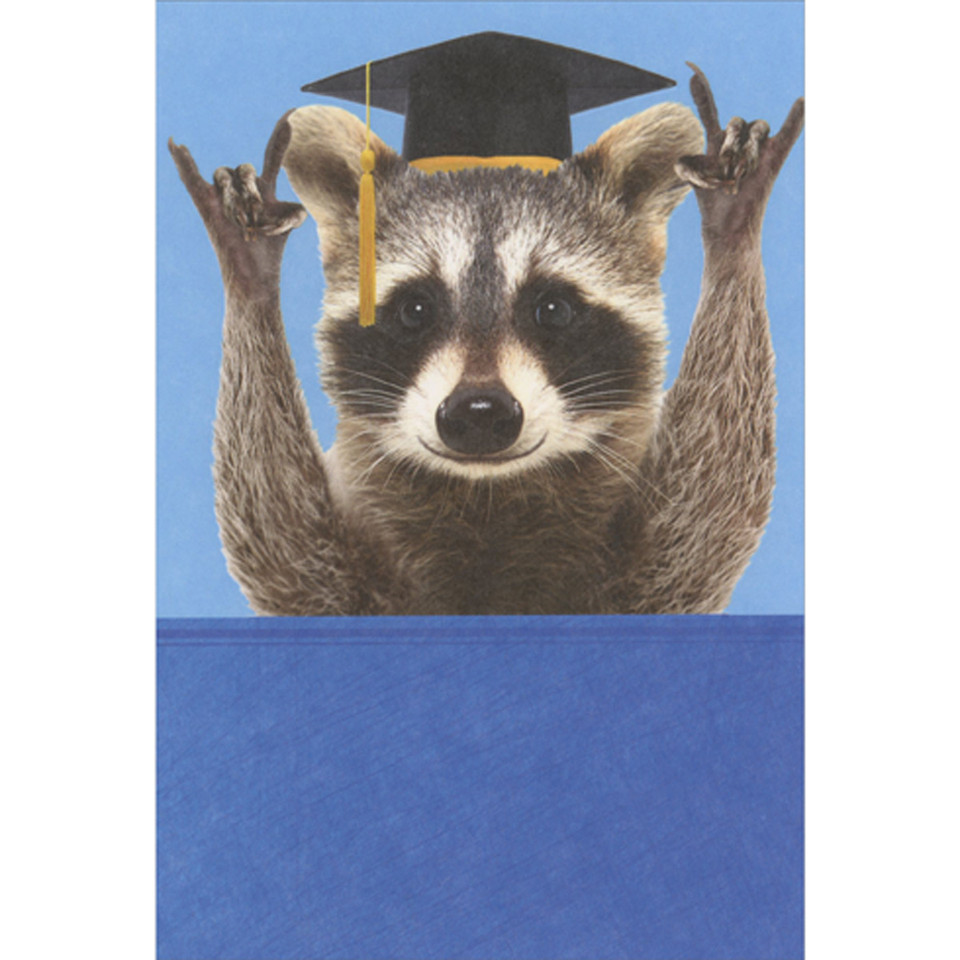 Raccoon in Grad Cap Showing “Right On”, “Hang Loose” Sign Humorous ...