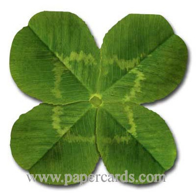 Four Leaf Clover Die Cut St. Patrick's Day Card | PaperCards.com