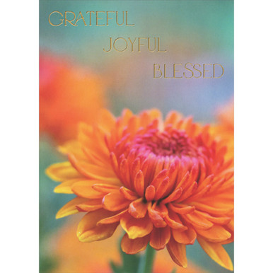 Grateful, Joyful, Blessed: Orange Flower Closeup Photo Thanksgiving ...