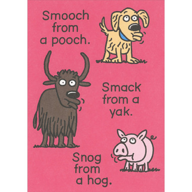 Smooch from a Pooch, Smack from a Yak, Snog from a Hog Funny / Humorous ...