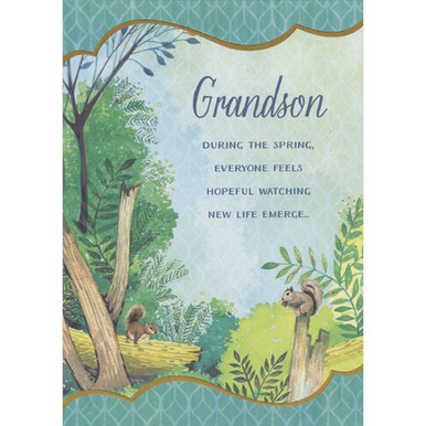 Everyone Feels Hopeful Watching New Life Emerge: Squirrels on Logs ...