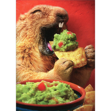 Groundhog Eating Chip and Guac Funny / Humorous Father's Day Card ...