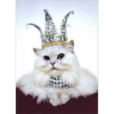 Princess Kitten Birthday Card | PaperCards.com