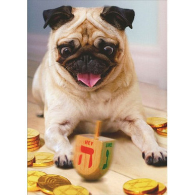 Pug with Dreidel Dog Hanukkah Card | PaperCards.com