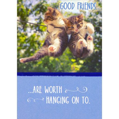 Two Kittens Hanging Onto Wire Friendship Card | PaperCards.com