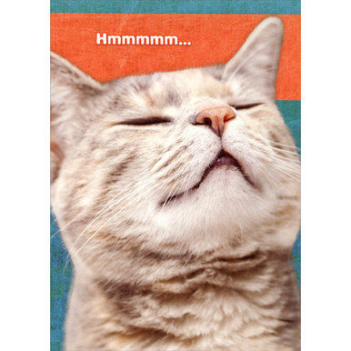 Hmmmmmm : Cat Sniffing the Air Cute Funny : Humorous Birthday Card ...